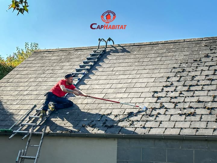 L'importance du démoussage de votre toiture - Cap Habitat